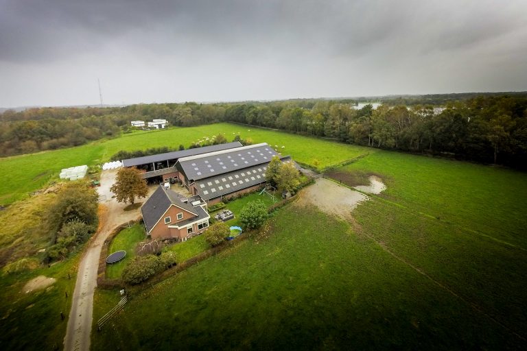 Meiberg_Groen-3-of-84 - Meiberg groentechniek