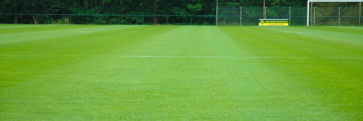 Galerij - Meiberg groentechniek